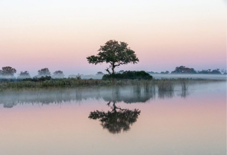 Photography – Pete McBride | National Geographic filmmaker and photographer